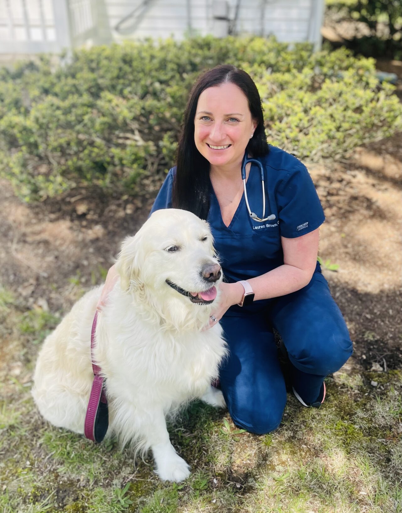 Veterinarian In Foxborough, MA | Foxboro Animal Hospital
